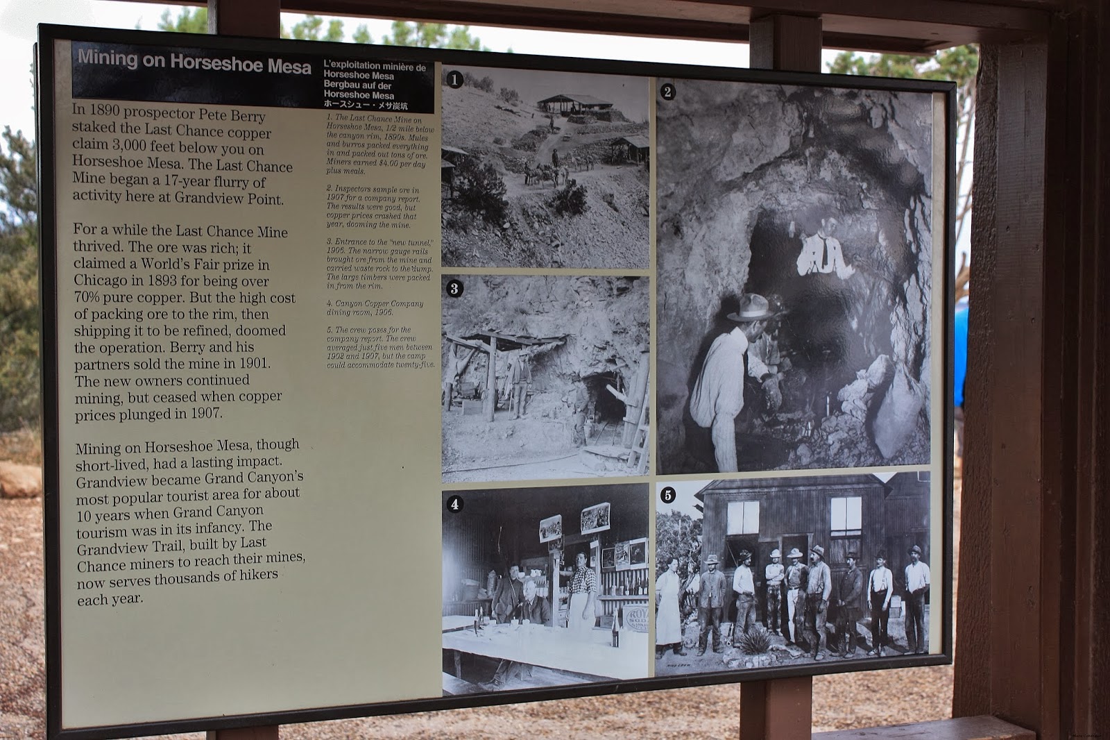 The Southwest Through Wide Brown Eyes: Finally! The Grand Canyon's ...
