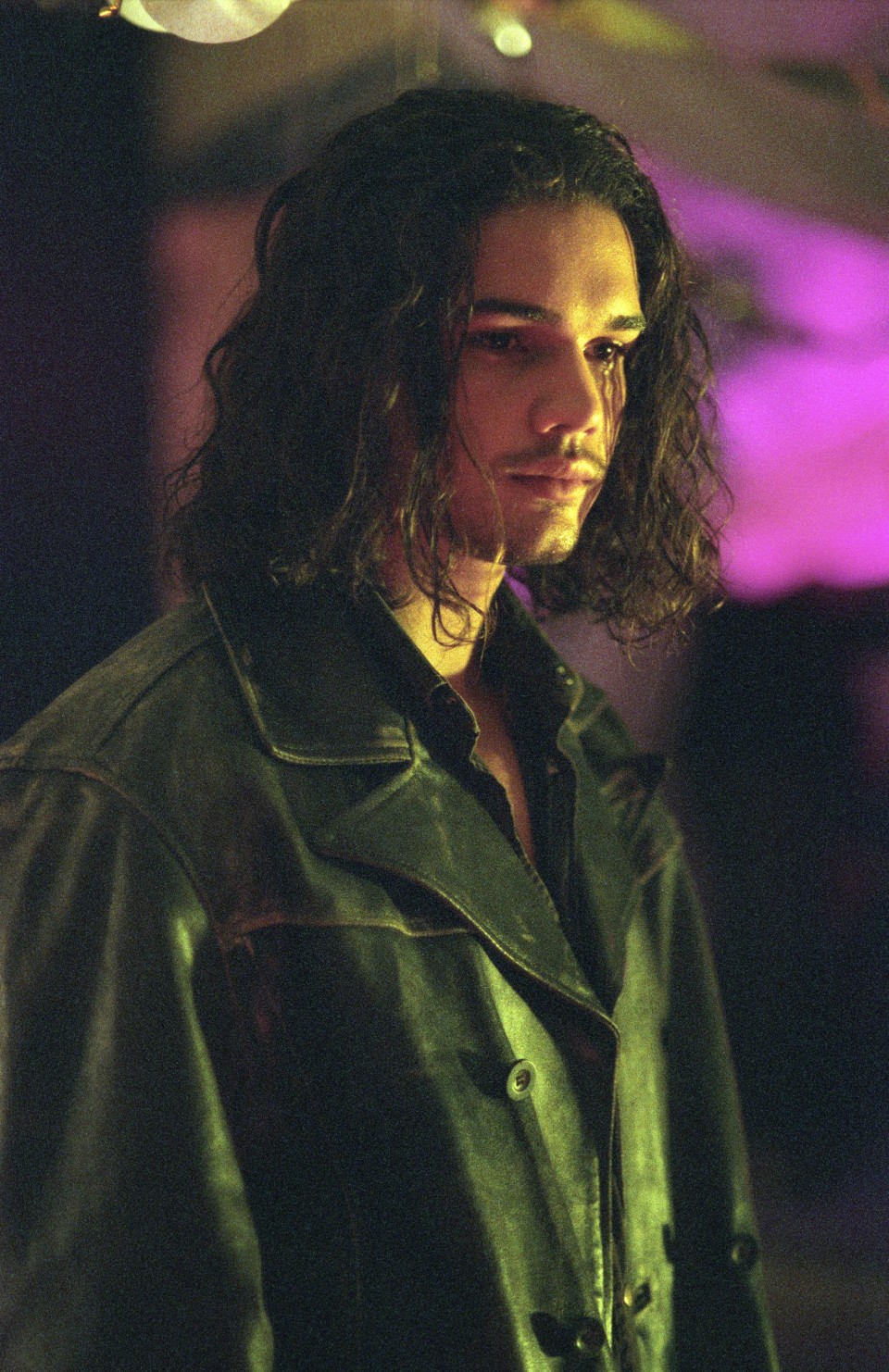 Steven Strait Photos | Tv Series Posters and Cast