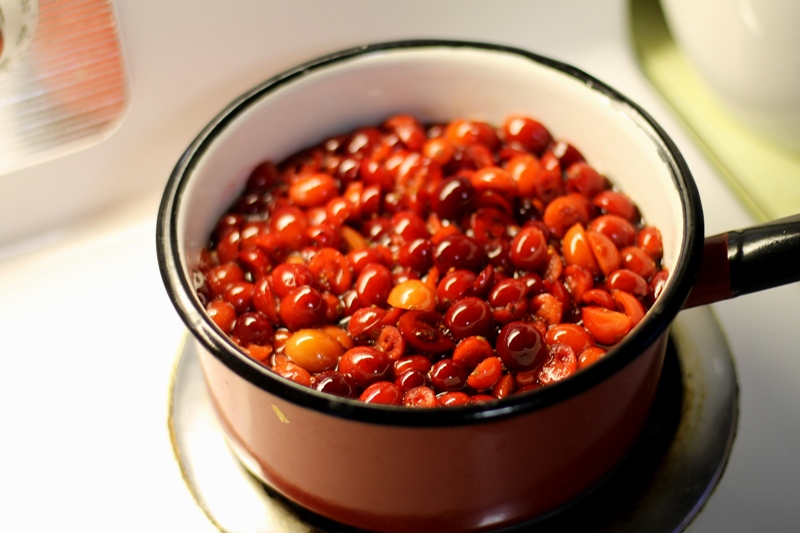 DIY Homemade Craisins | Gypsy Farmgirl