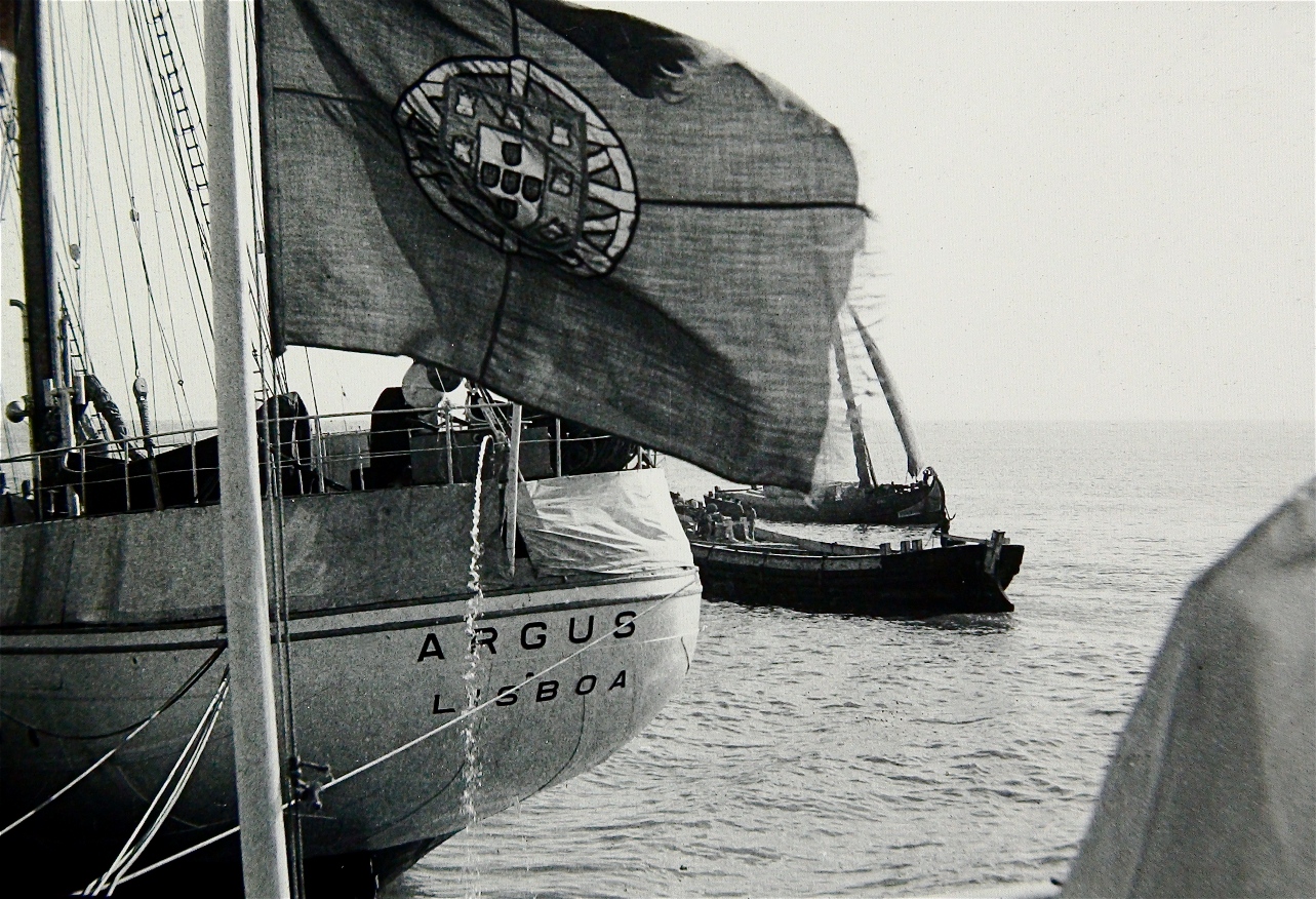 Luís Graça & Camaradas da Guiné: Guiné 63/74 - P15554: Notas de leitura ...