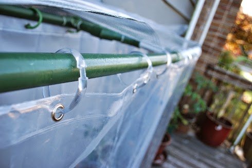 House InsideOut: Building a Hot (Pepper) House