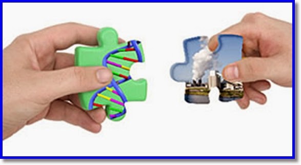 Facing Autism in New Brunswick: July 2014