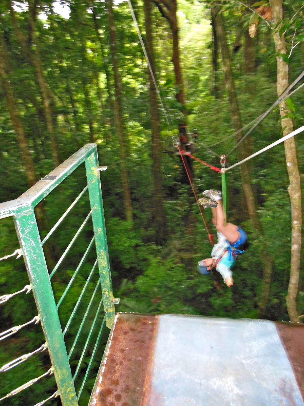 Medical Service in Sydney and the Solomon Islands: Fruit Tasting and ...