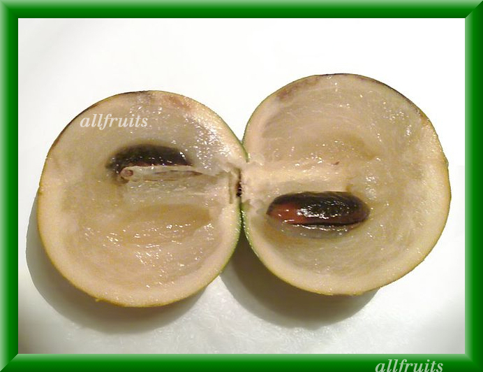 All Fruits in the World: Abiu Fruit [ emperor's golden fruit ]