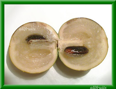 All Fruits in the World: Abiu Fruit [ emperor's golden fruit ]