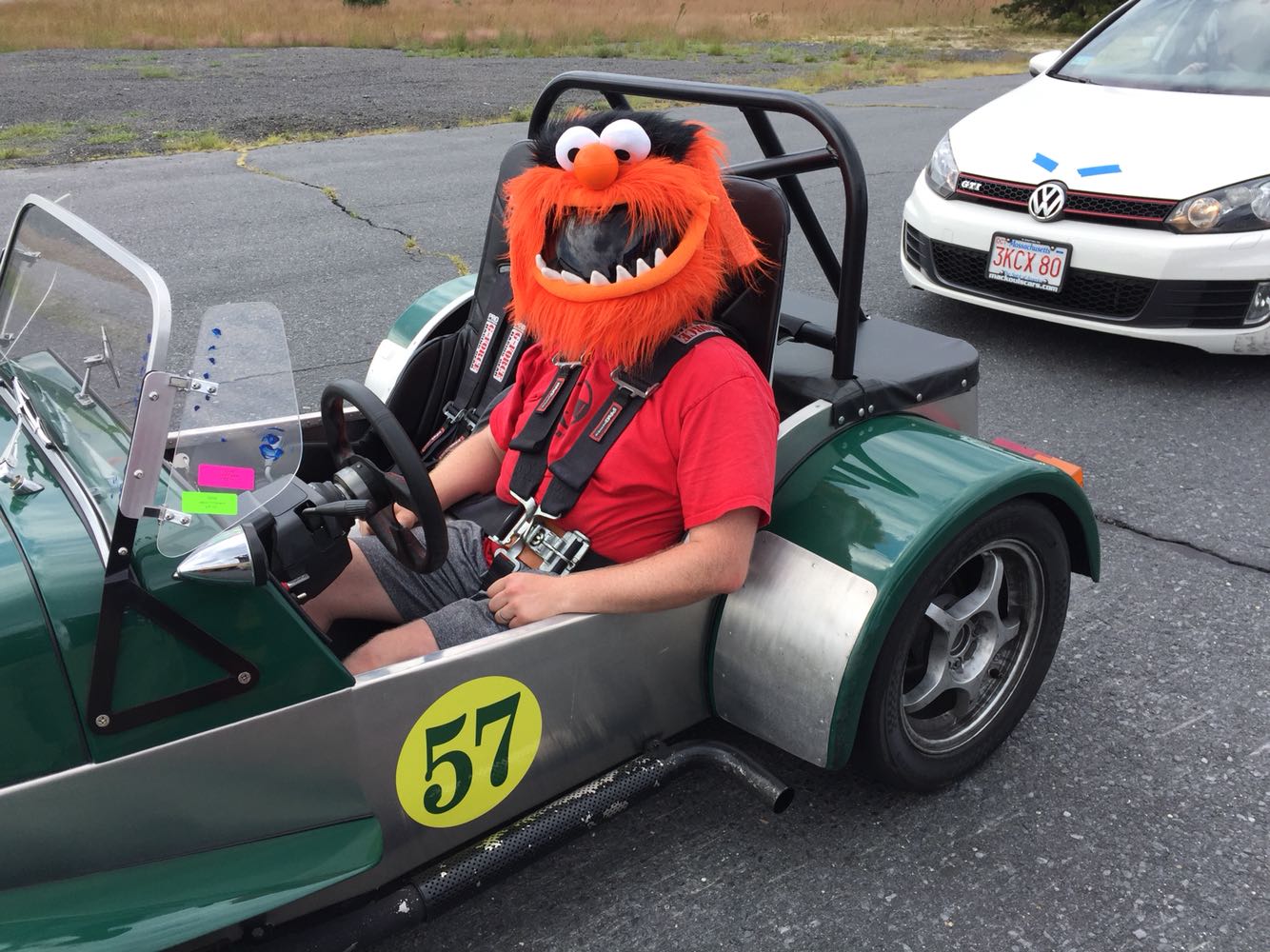 Motorcycle Helmets: Animal Motorcycle Helmet