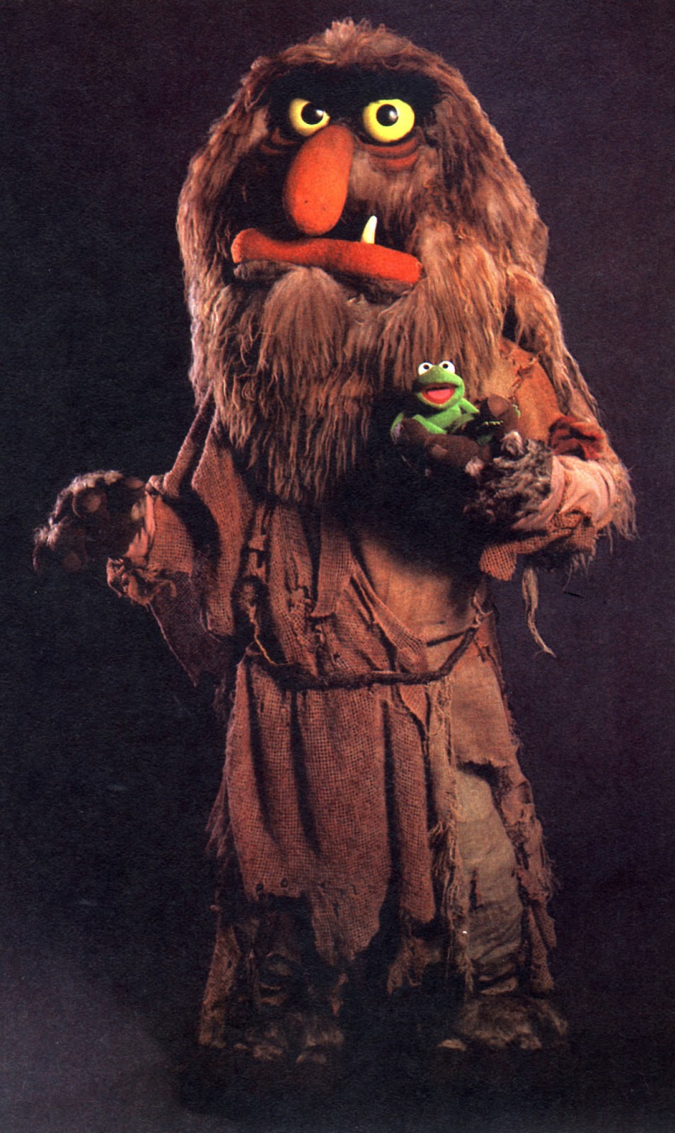 14. If you could take a picture with any Muppet, who would you choose ...