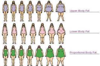 Stay Fit Live Fit: Learning About Body Type