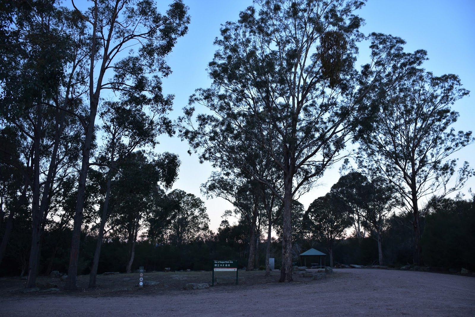 Goin' Feral One Day At A Time: Den of Nargun, Mitchell River National ...