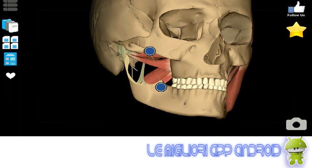 Le migliori app android: Anatomy learning 3d atlas