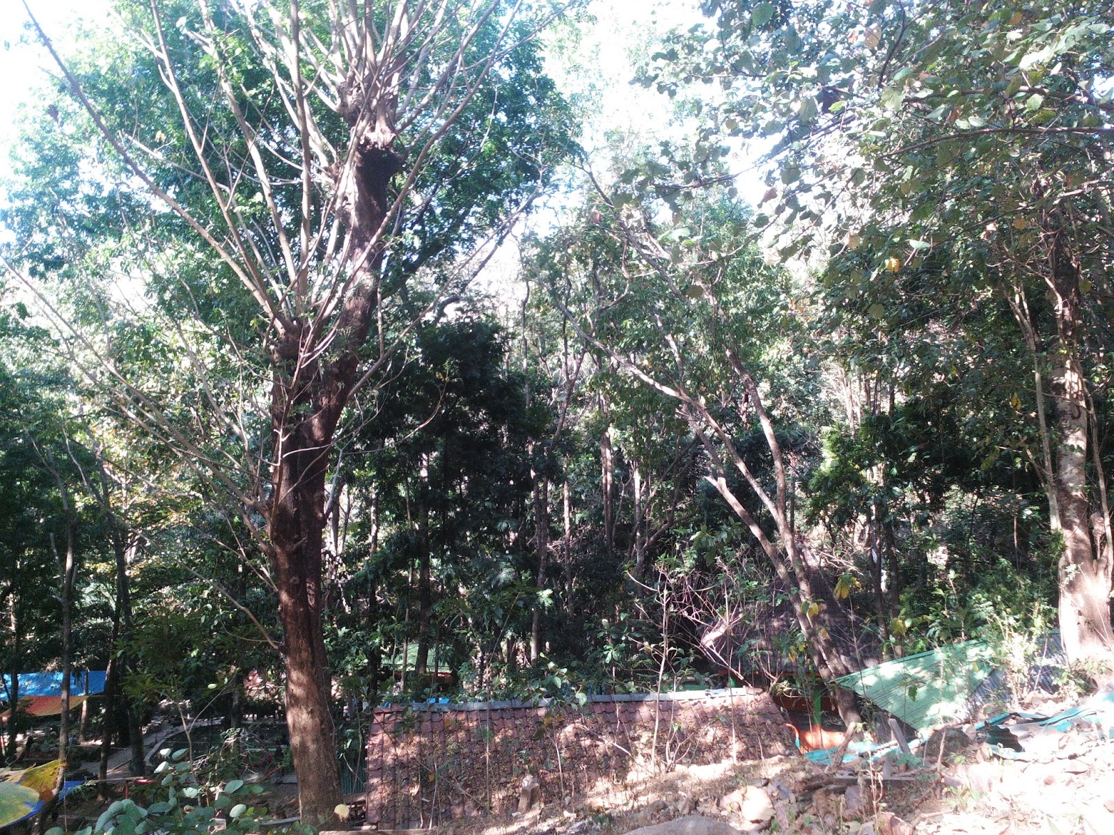 Pemandian Air Panas Bayanan Sragen.. - Radar DJowo