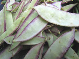 Authentic Pilipino cuisine straight from Rosalina's Kitchen: Pinakbet