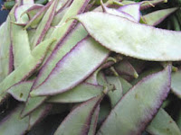 Authentic Pilipino cuisine straight from Rosalina's Kitchen: Pinakbet