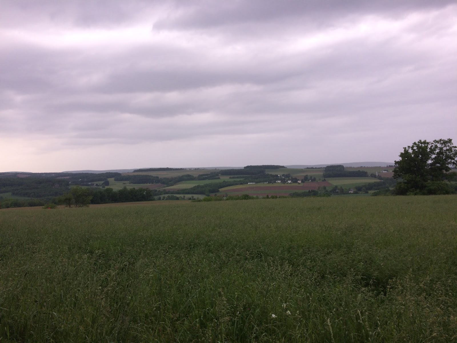 The Thrifty Runner: A Tale of Two Ragnars (Part 2): Pennsylvania Ragnar