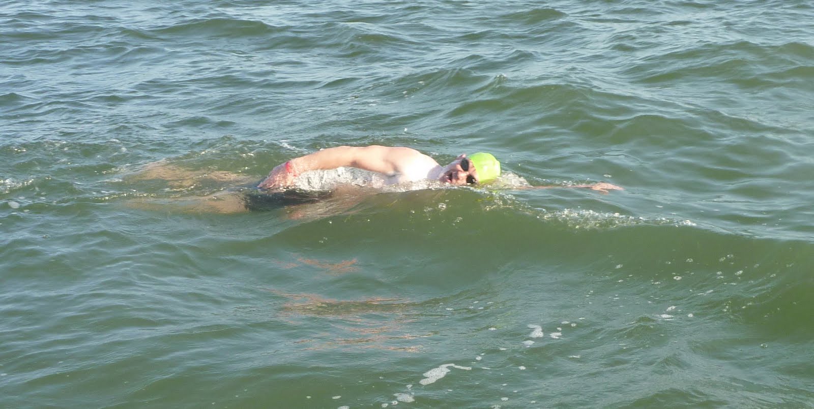 One Stroke at a Time - Don Macdonald's journey to Swim Around the World ...