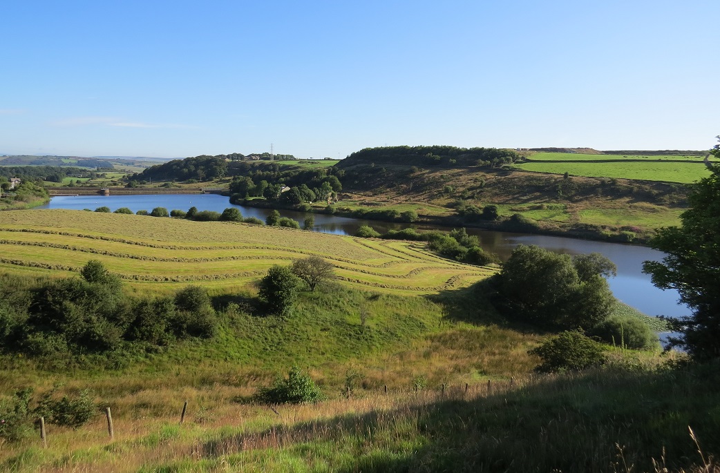 Dannysbirds: Denholme Clough to Doe Park Reservoir