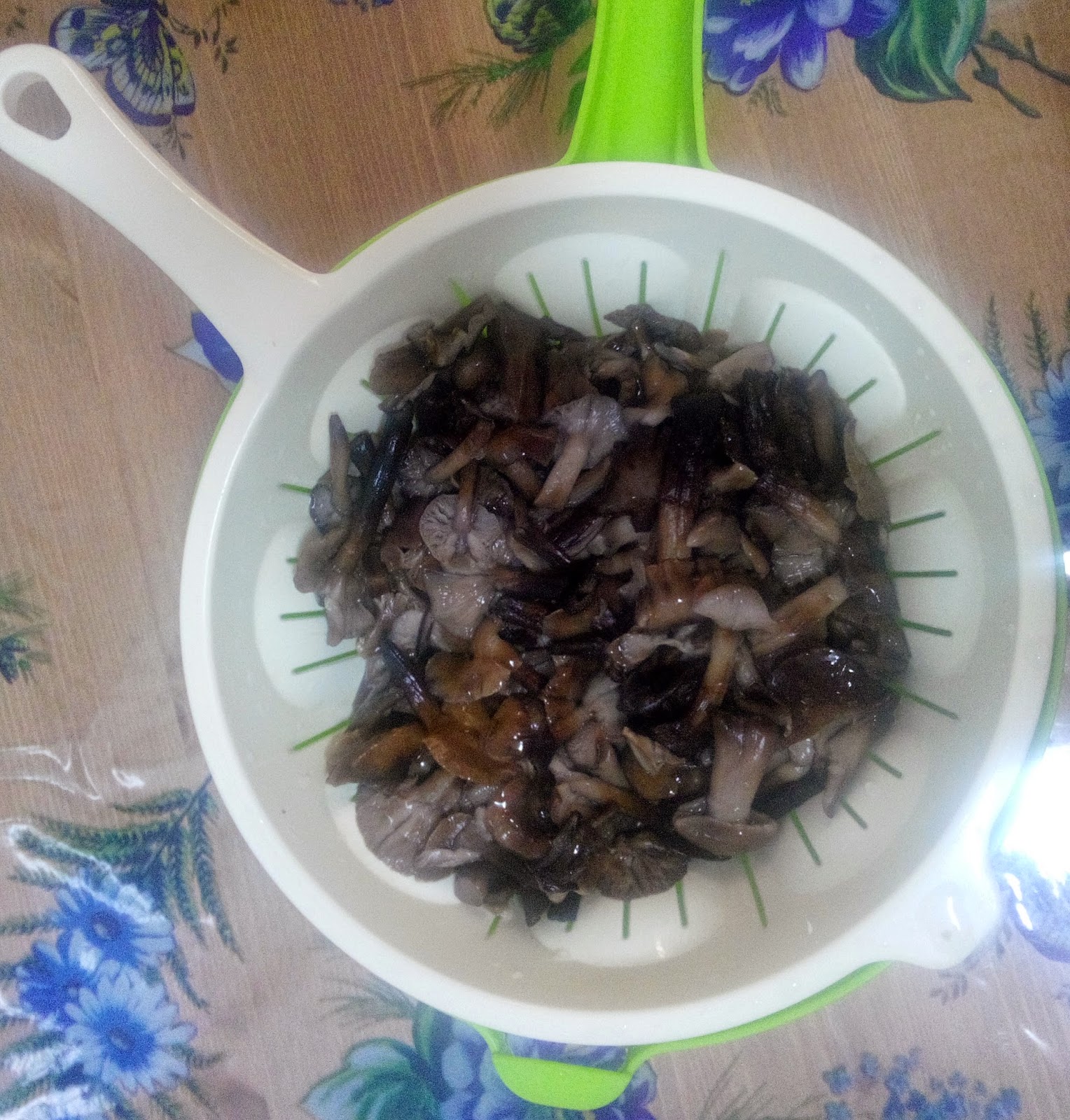 Hai să facem de mâncare!: Borș de urzici cu opintici