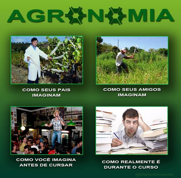 Portal Agronomia: O curso de agronomia.