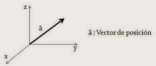 | VECTORES