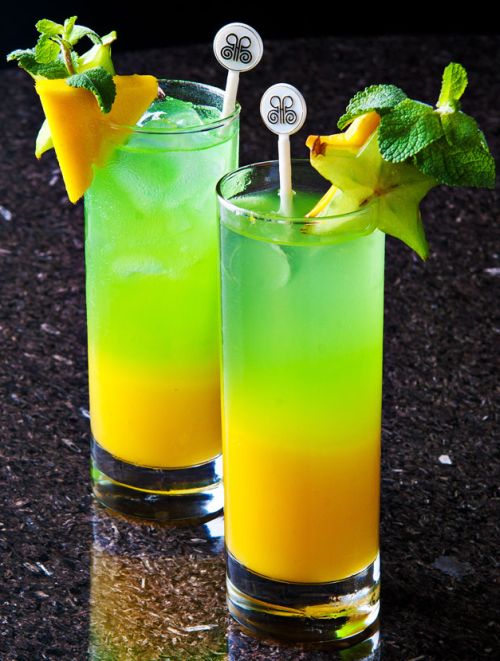 Drinks Caseiros Drinks Brasileiros