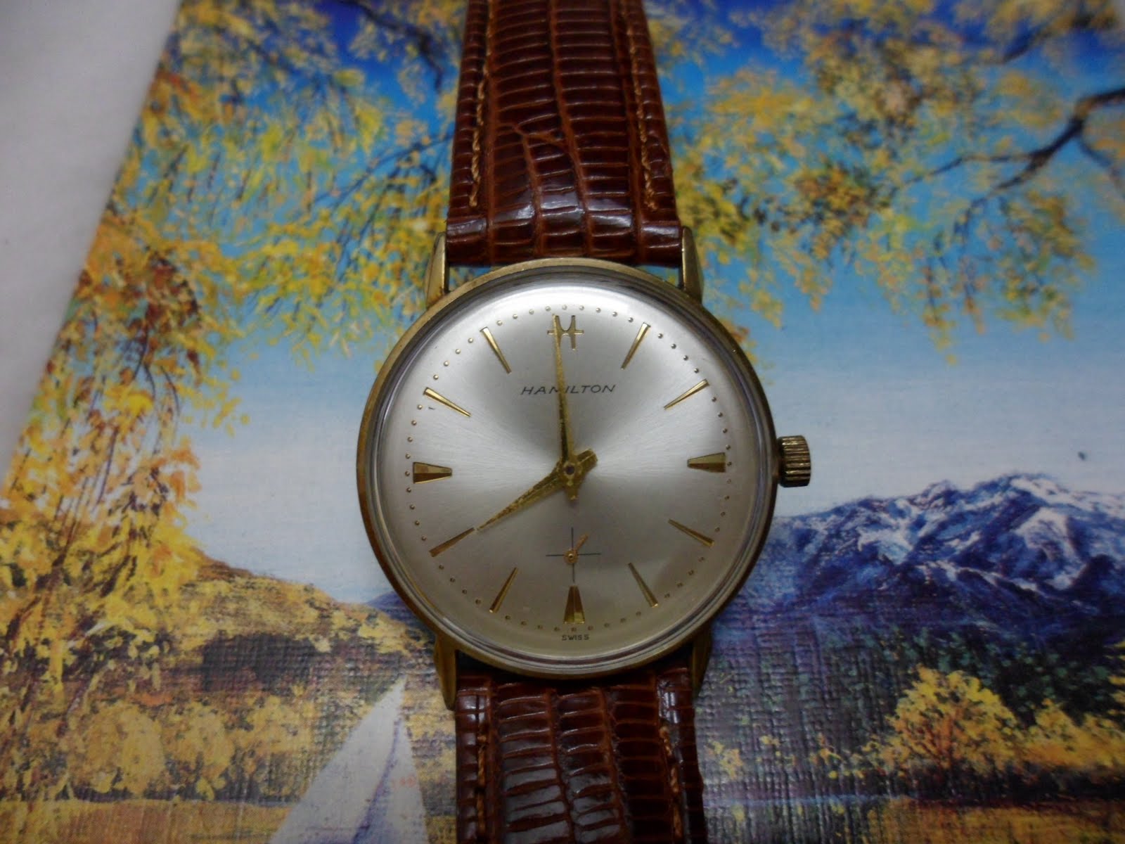 Collectible Curio2: Vintage Hamilton Wristwatch