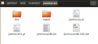 Backtrack Linux : How to use Joomscan to find the Joomla Vulnerability in Backtrack 5 Linux?