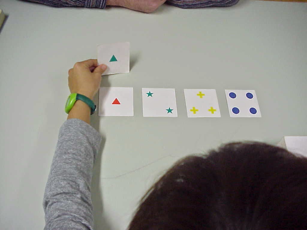 When The Mind Wanders: Test Wisconsin