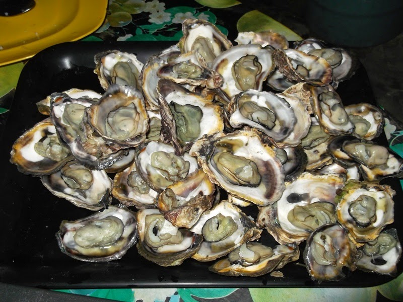 Talaba | Adventures Of Life