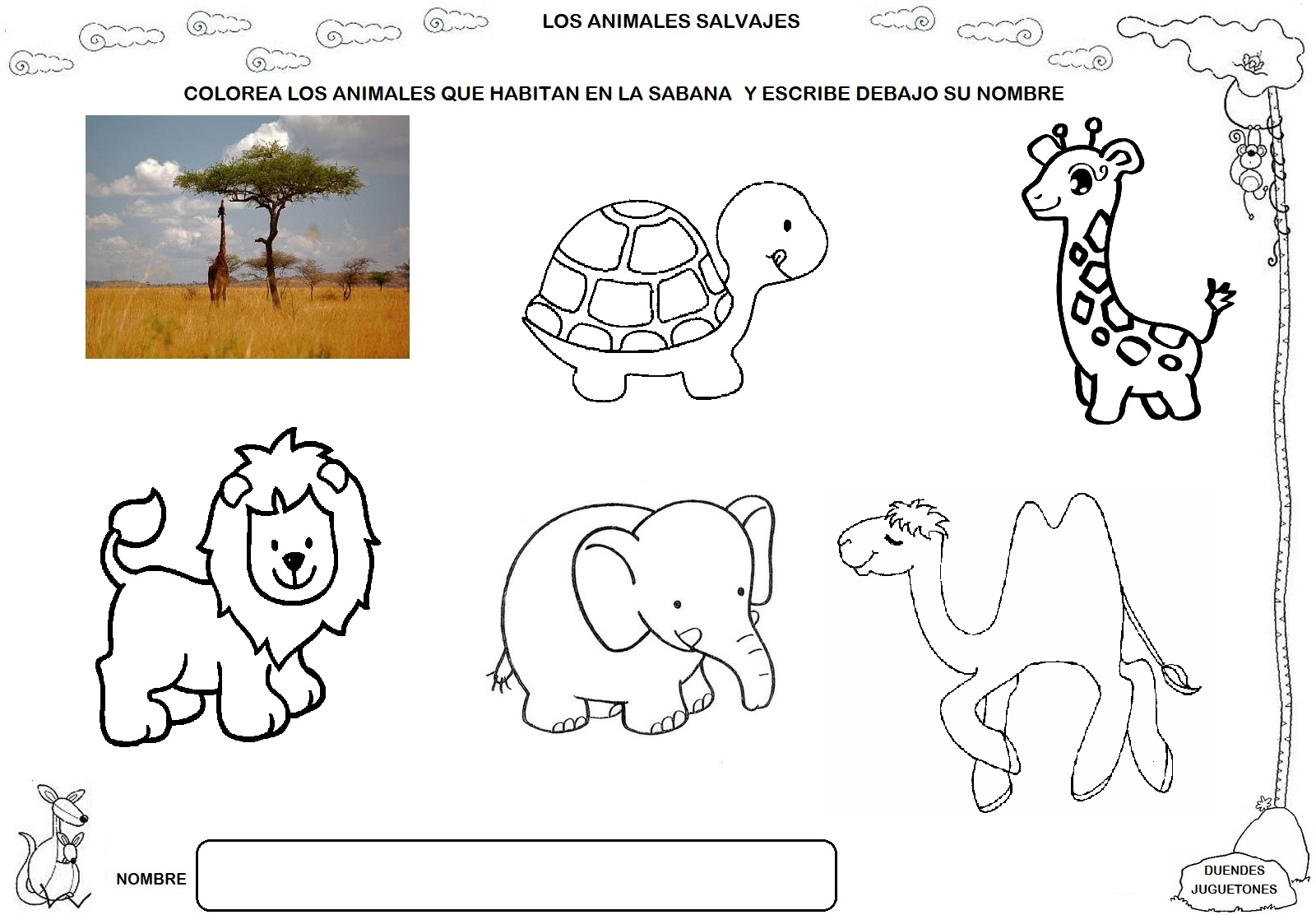 "DUENDES JUGUETONES": LOS HÁBITATS DE LOS ANIMALES SALVAJES