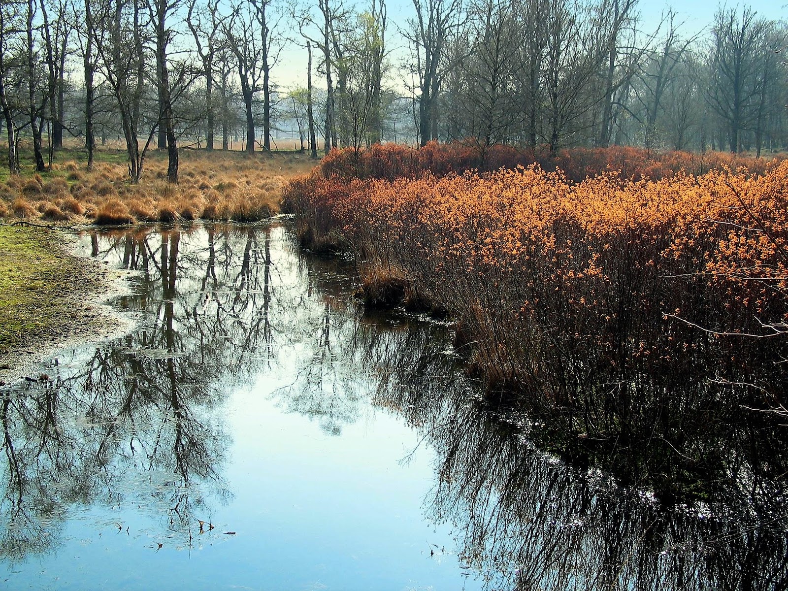 Mooiste Routes: Wandelen rond Wellerlooi (Limburg)