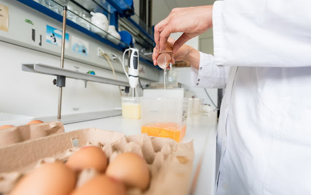 Τι είναι το fipronil που βρέθηκε στα αυγά και πόσο επικίνδυνο είναι για ...