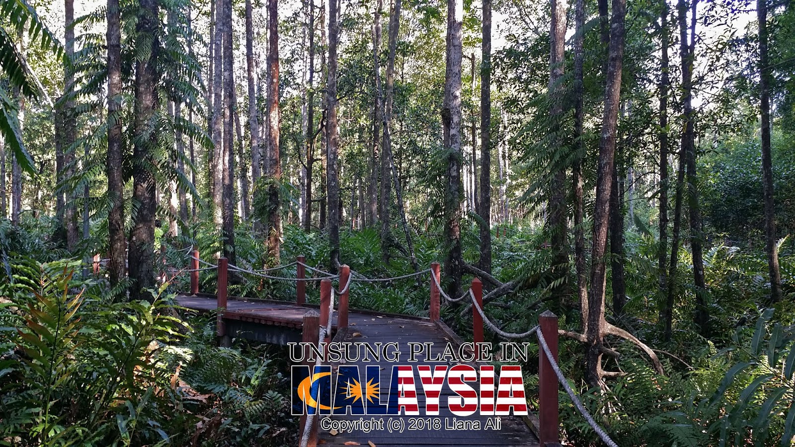 Jalan² ke Hutan Paya Laut Matang, Perak