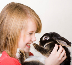 Small Animals Pet-Store