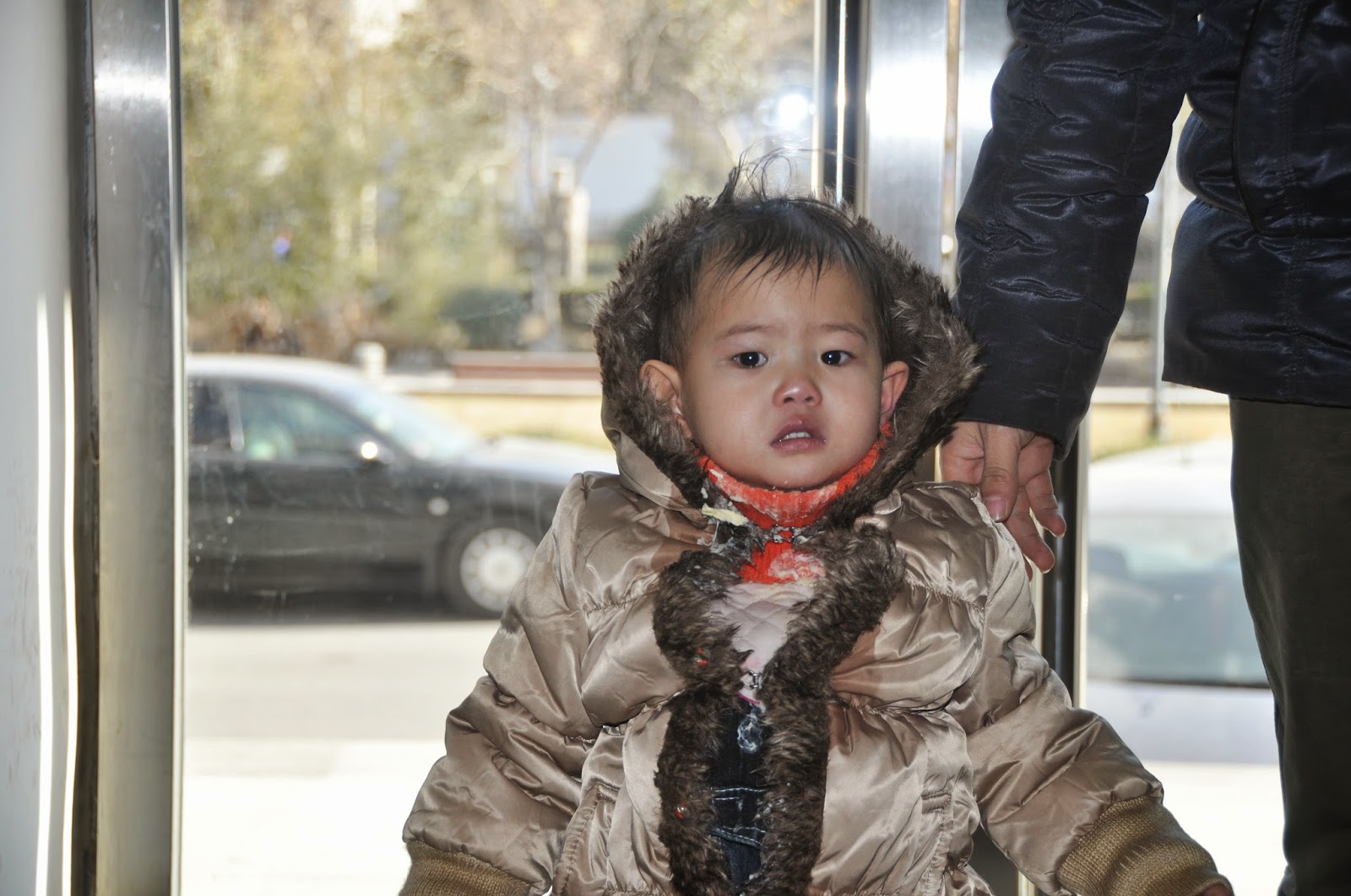 beloved-ones: Gotcha Day