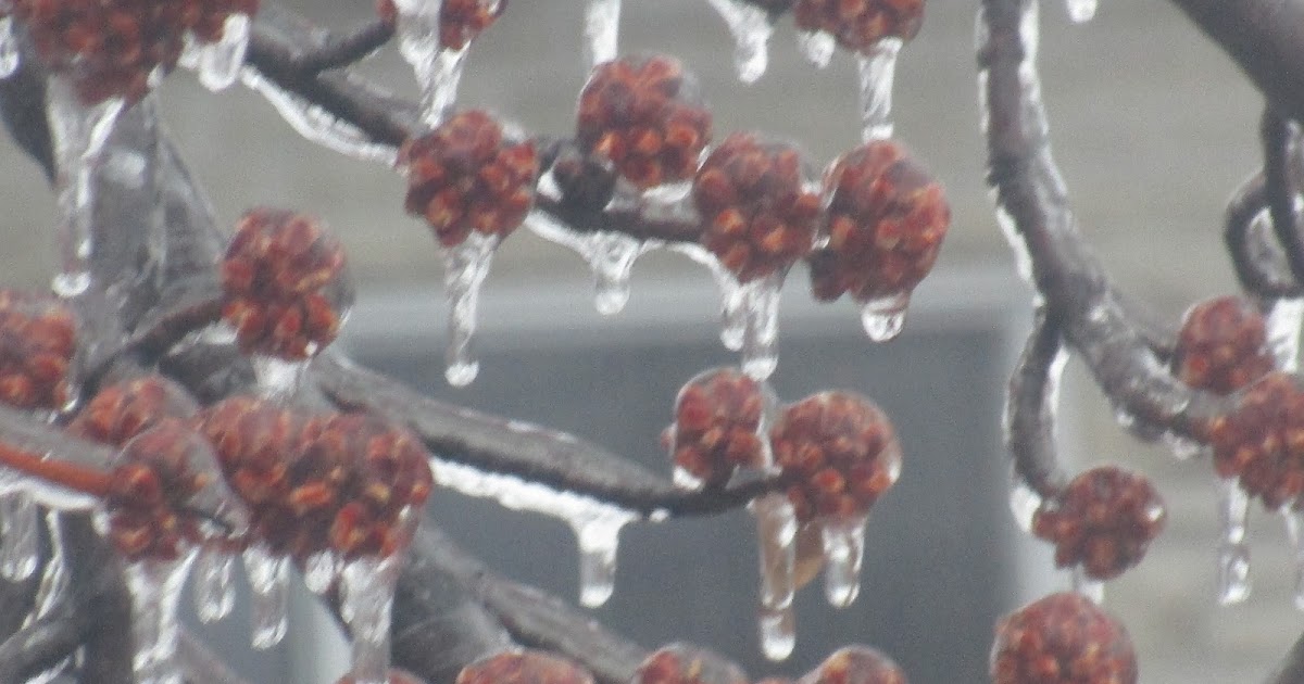 come on already! (april 2019 edition)