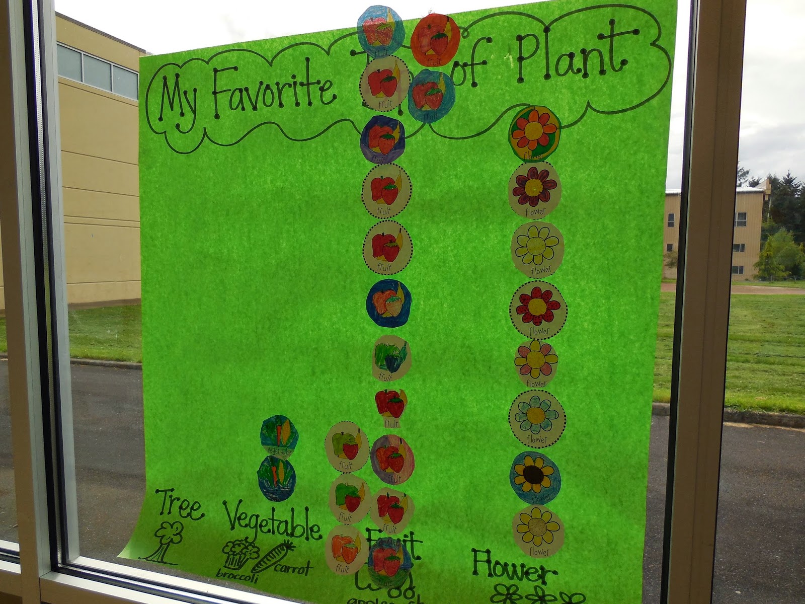 Mrs. Slyter's 2nd Grade: Watching Our Seeds