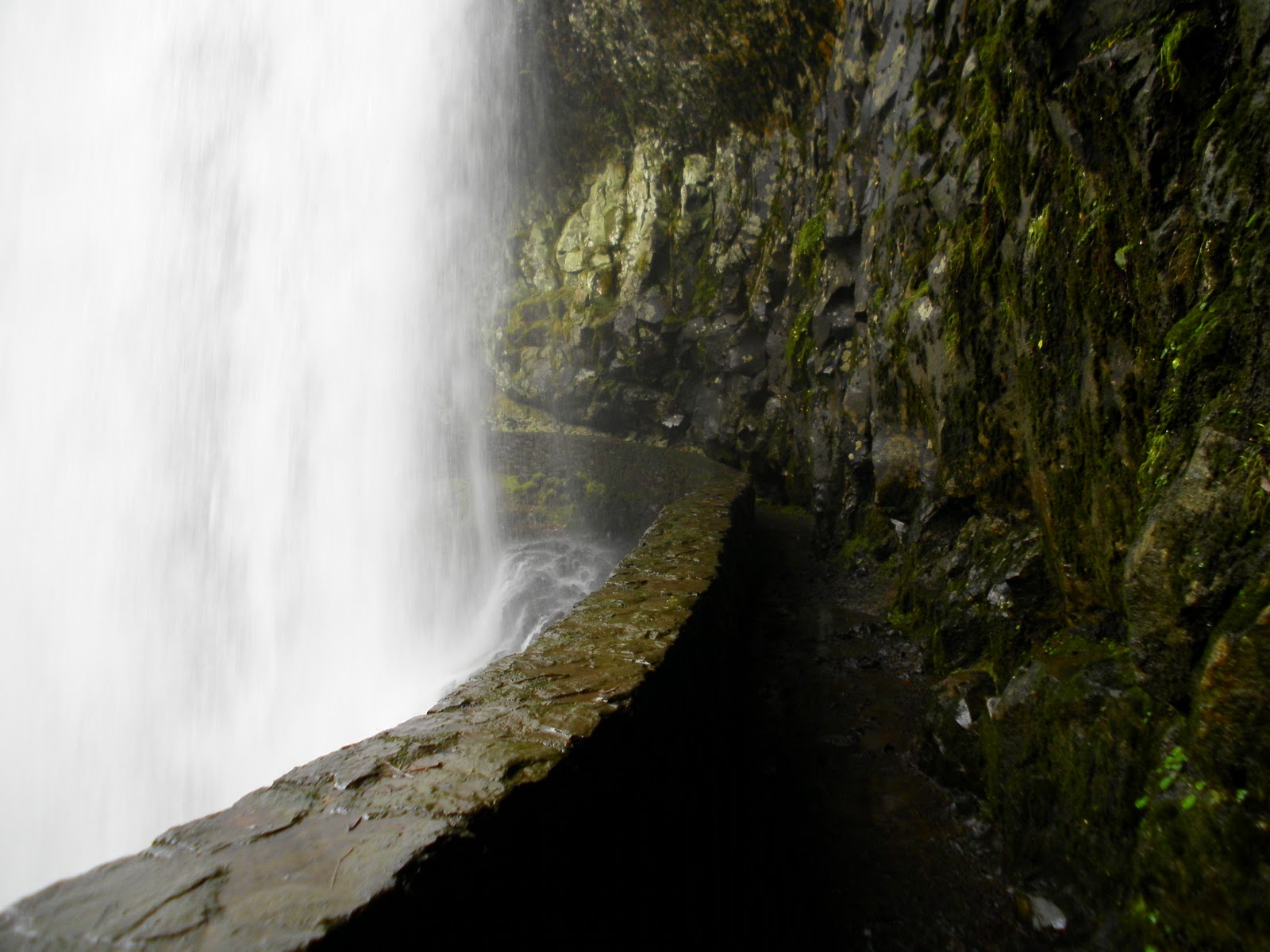 Black Watch Sasquatch: Silver Falls State Park - Silverton, Oregon