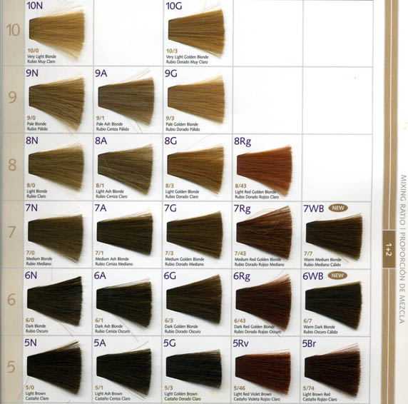 History of All Logos: All Wella Logos