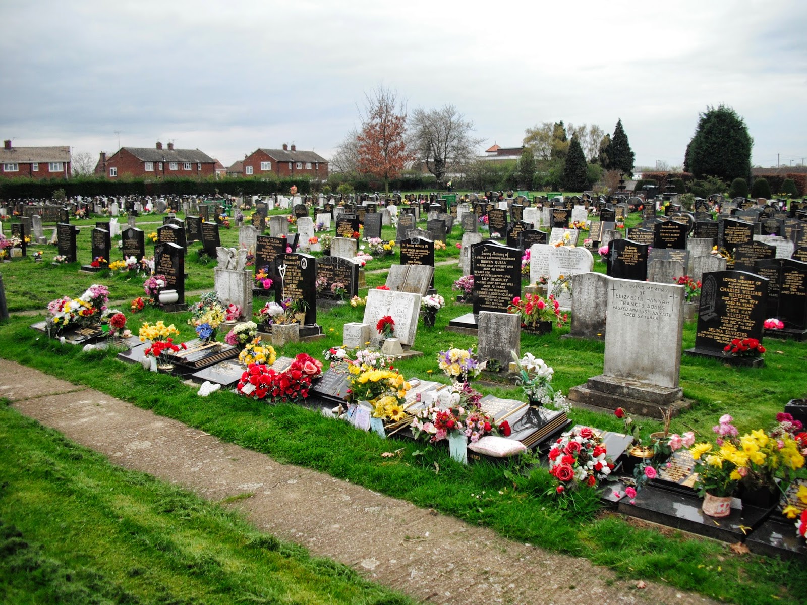 Love my life: Ten mile circular walk from Thorne.