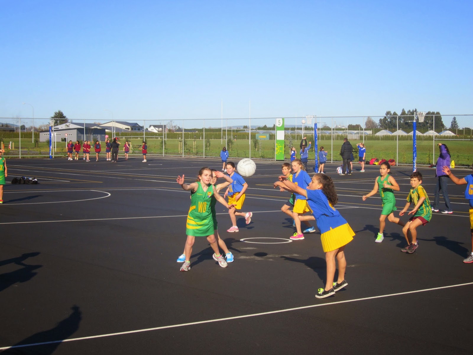 Clive School Sport 2014