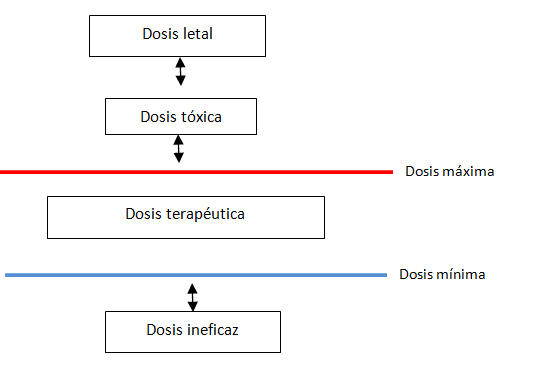 "Camino hacia la ciencia " : T2. Farmacodinamia / Farmacocinética ...