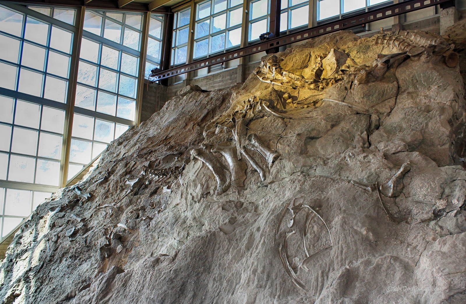 Dinosaur National Monument, Utah