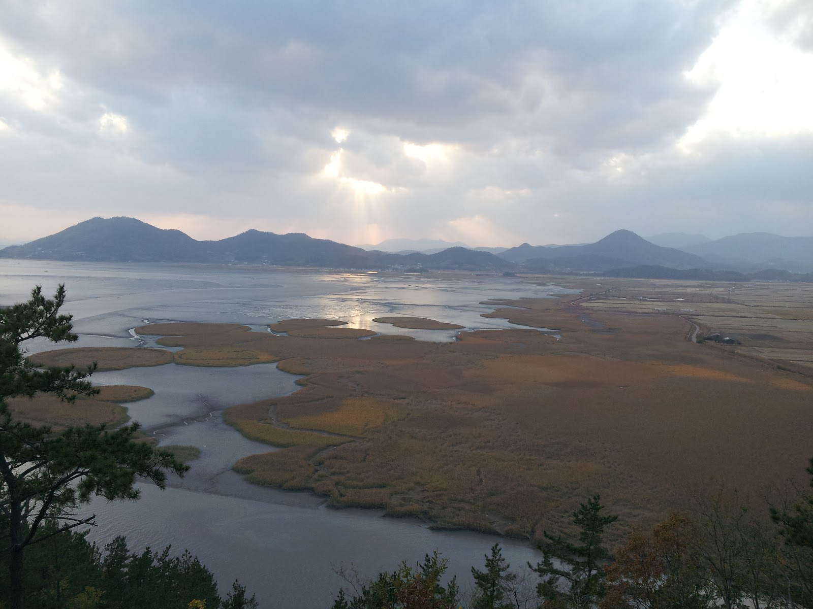 Fakhar Khan: Suncheon Bay (Autumn)