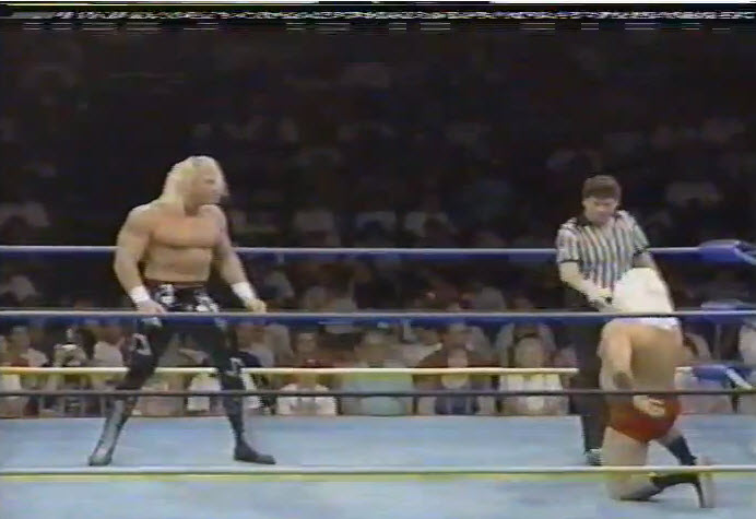 ProWresBlog: WCW Pro on WGN 9/5/1992 Review