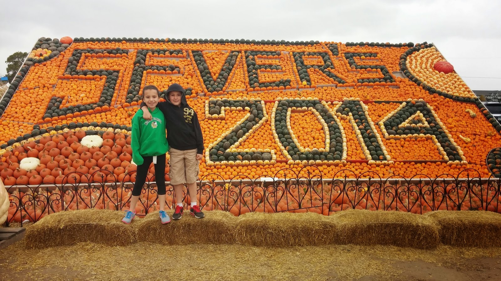 Gust Gab: Sever's Corn Maze - Fall Traditions