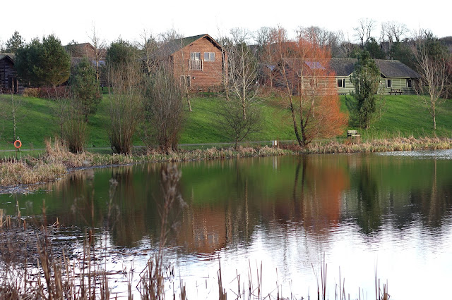 TRAVEL: Why we Fell in Love with Bluestone in Wales | Treasure Every Moment