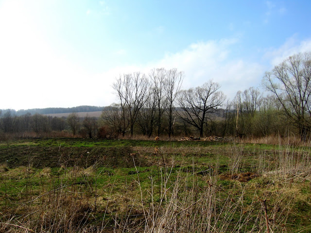 Allsparklesofnow: Early Spring Landscape