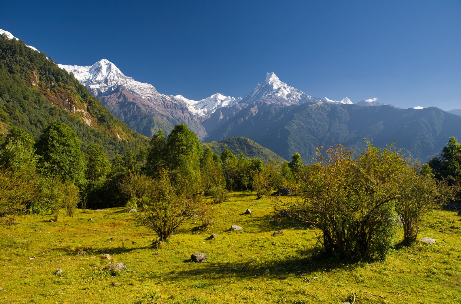 10 Reasons Why You Can Visit Nepal Even After The Earthquake: Nepal ...