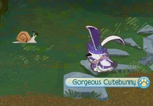 Animal Jam Blossom-Welcome to my blog!: Sarepia Forest Journey Book