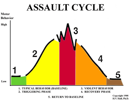 Thoughts About Life and Running: Assaultive Behavior Management ...